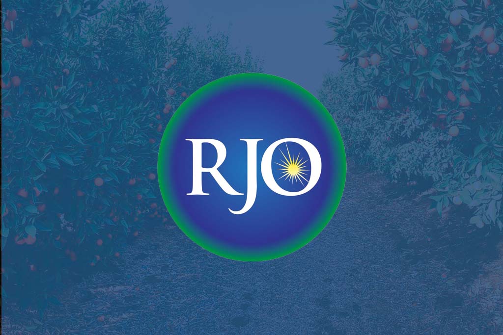 Portfolio - RJO Produce Marketing - Digital Attic