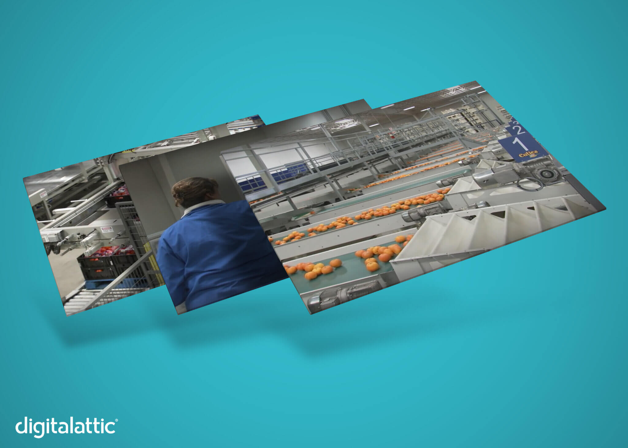 Portfolio - Fowler Packing Video - Digital Attic