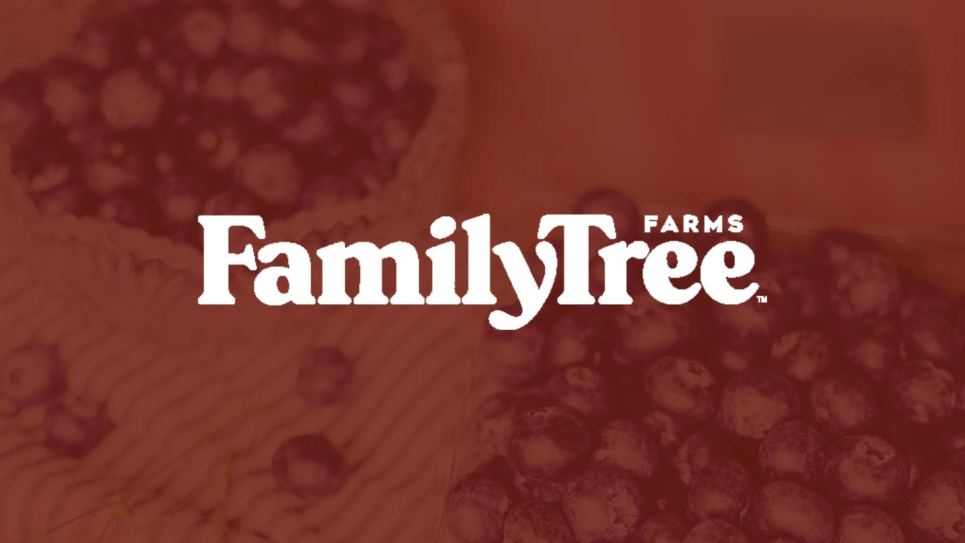 Portfolio - Family Tree Farms - Digital Attic